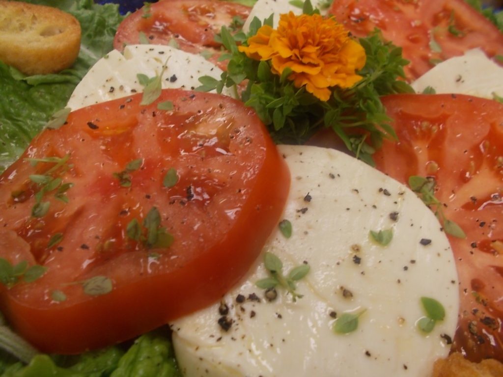 A Guide To Growing Basil - Countryside